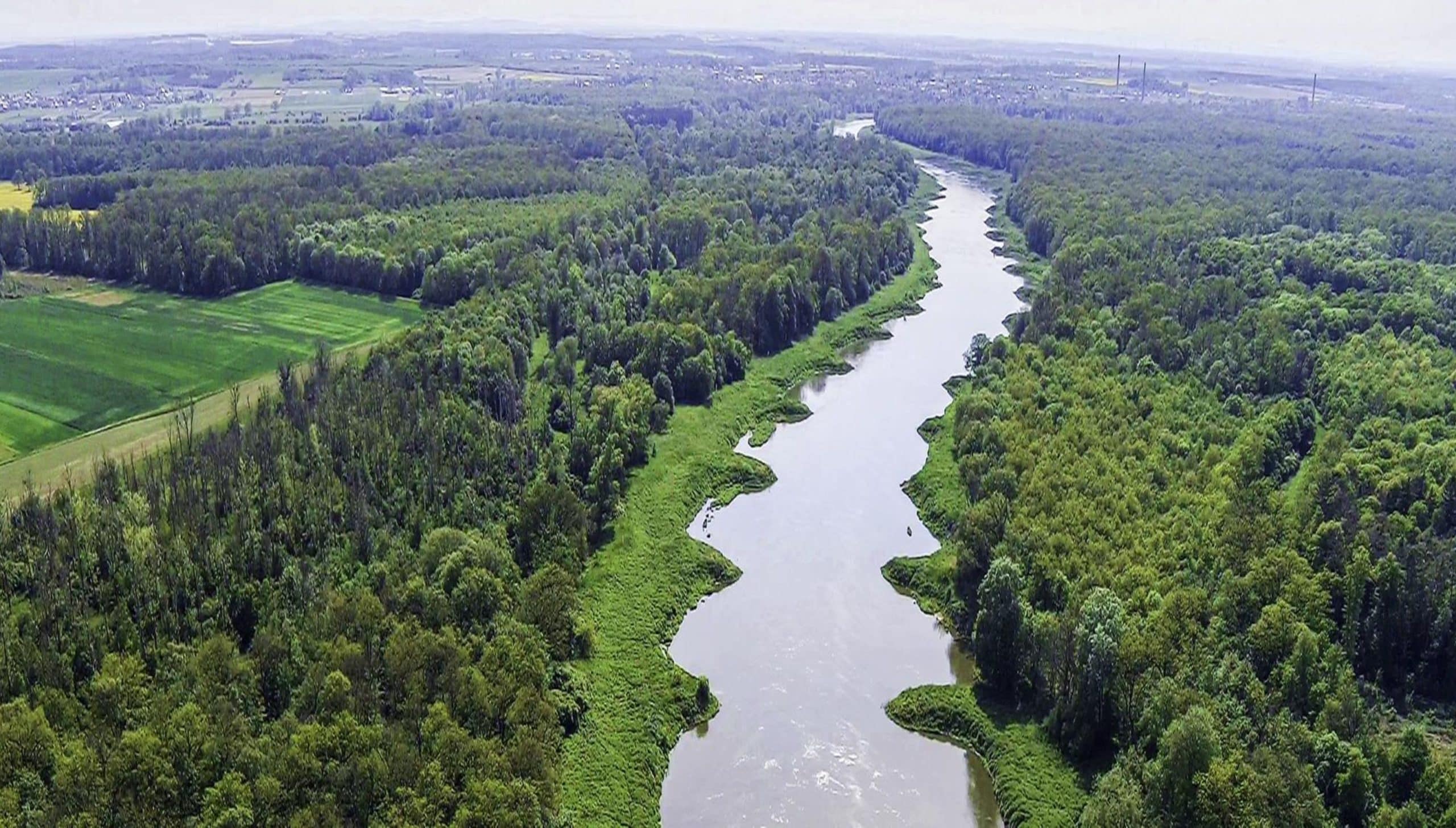 Żegluga na Odrze, czyli o braku polsko-niemieckiej współpracy - TransInfo